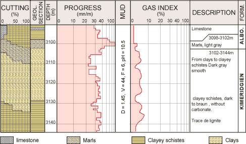 Diagraphie- Drilling - IInstantaned